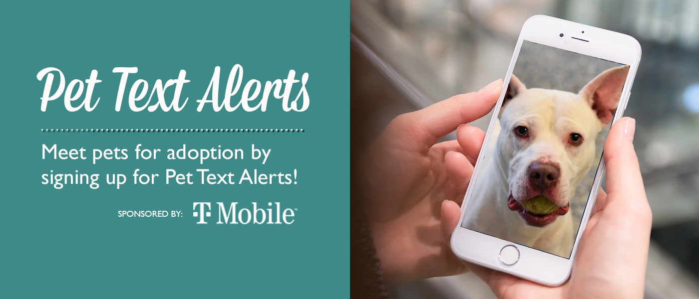 Lollypop Farm | Humane Society of Greater Rochester