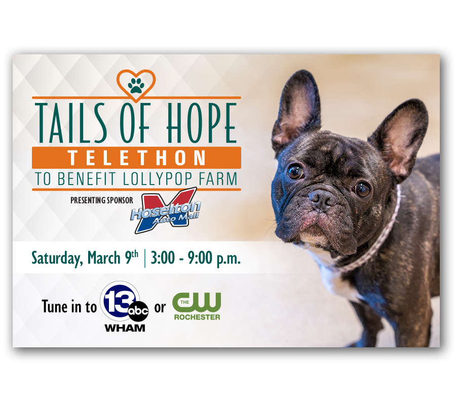Lollypop Farm | Humane Society of Greater Rochester